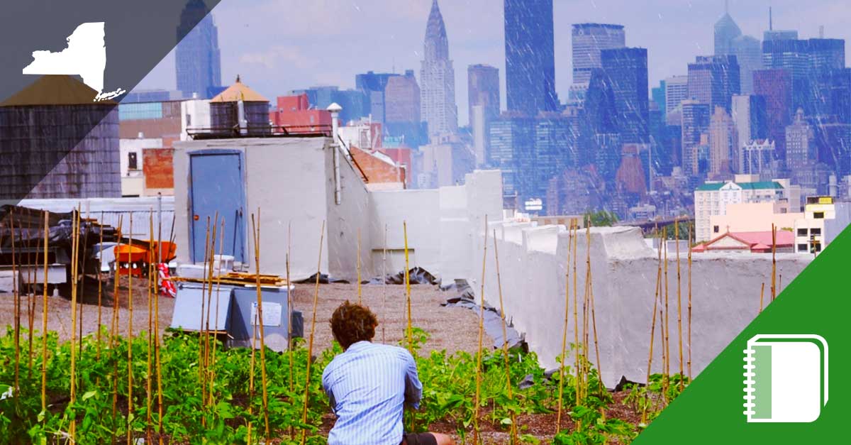 Urban Guide to Farming in NY | Collections | Farm Answers