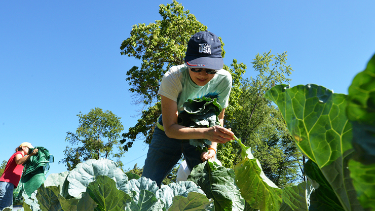 USDA New Farmers | Library | Farm Answers