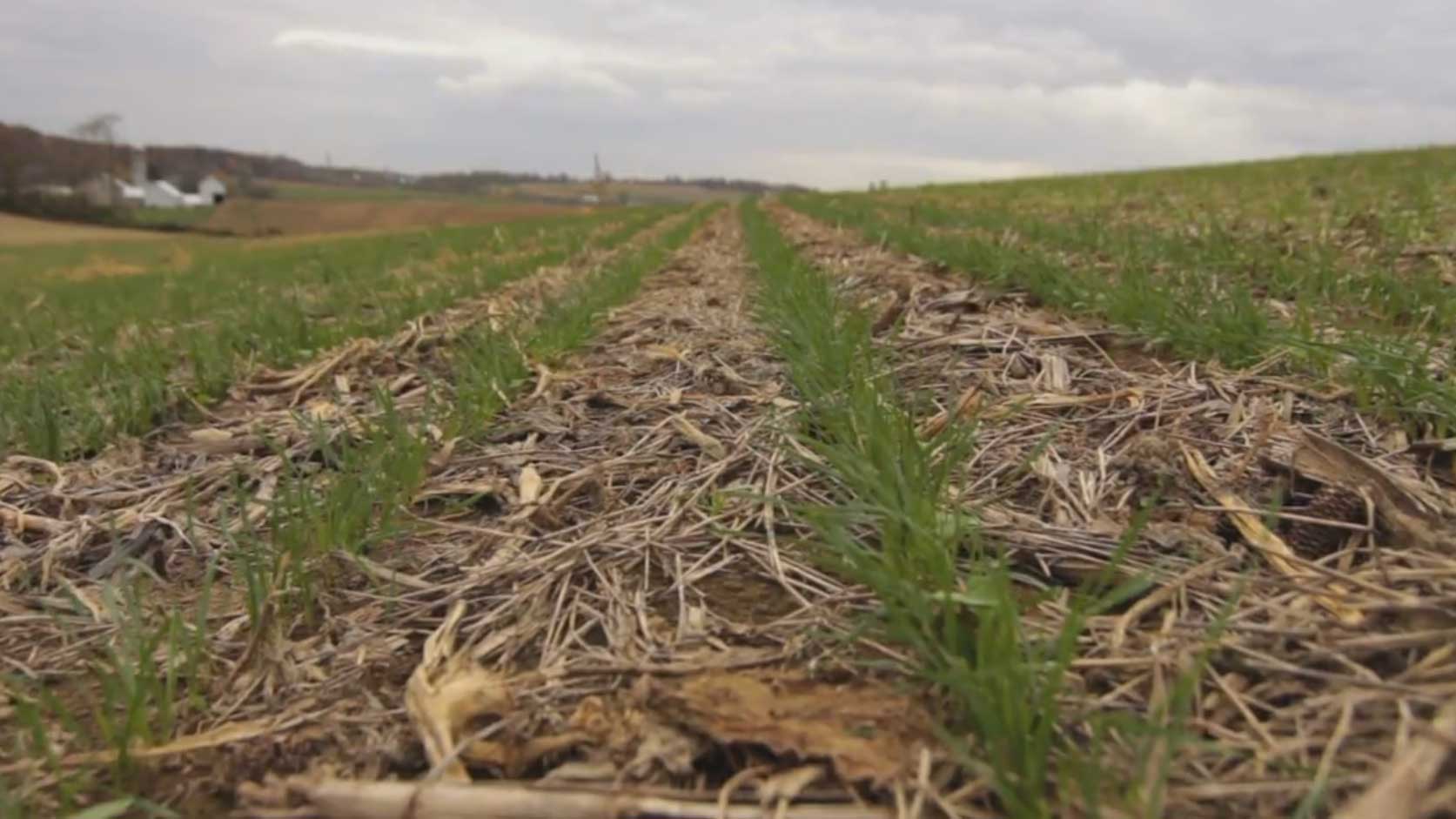 How Do No-Till Planters Work? | Library | Farm Answers