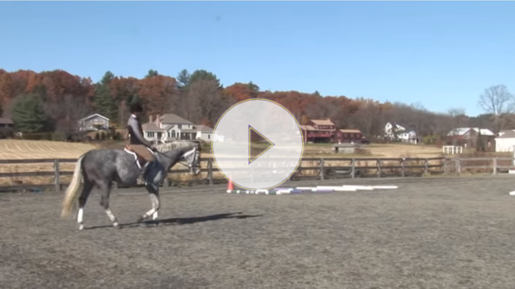 Horse Training for Equestrian Games : How to Trot | Library | Farm Answers
