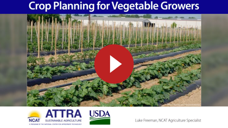Crop Planning for Vegetable Farmers | Library | Farm Answers